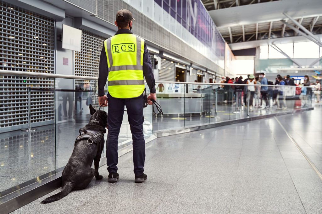 ECS SECURITY GROUP LIMITED